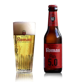 Romy pils Roman 24x25cl - Drankcenter Schotte