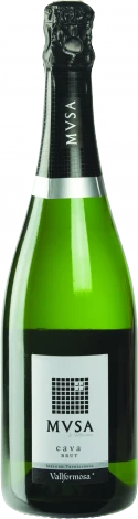 MVSA Cava Brut 75cl - Drankcenter Schotte